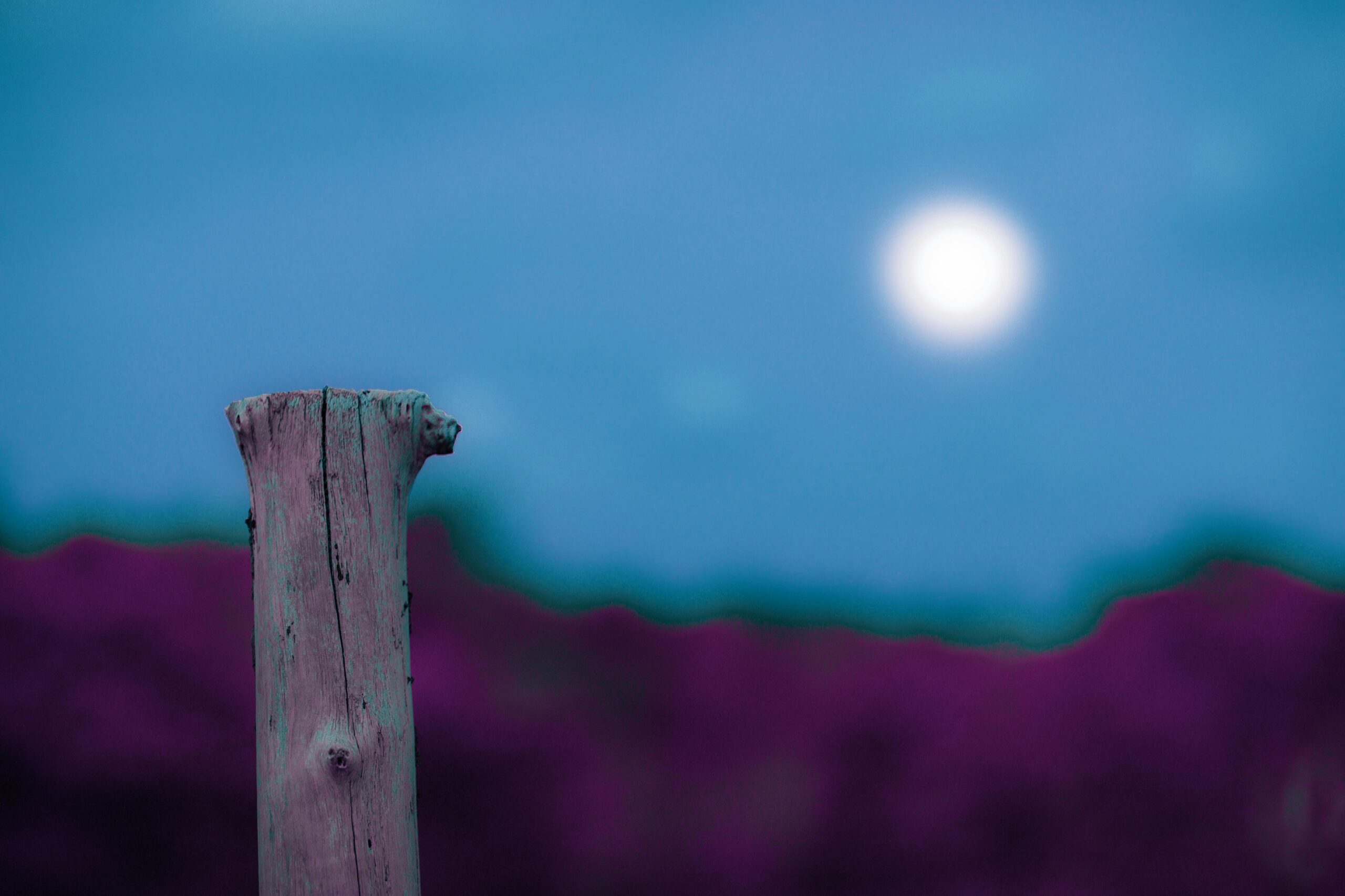 What Is a Post Type in WordPress?